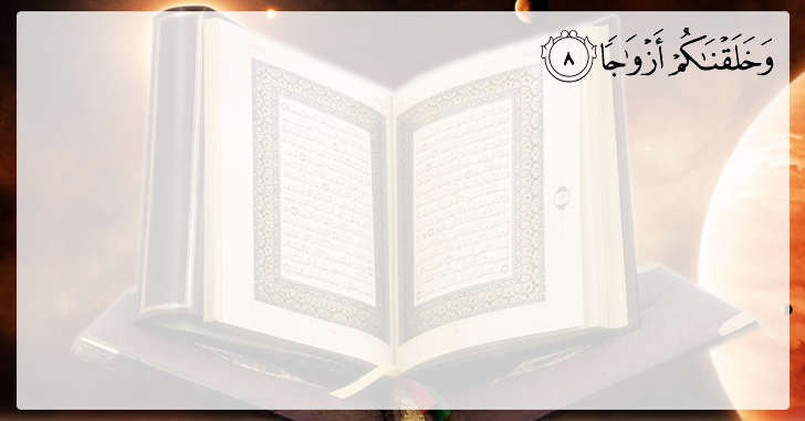 Al-Quran 78:8 - Surah An-Naba Ayah #8 - German Translation | Quran ...